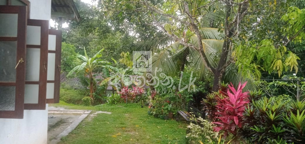 House for sale in Galle | Podda | Narawala in Poddala | House, Land ...