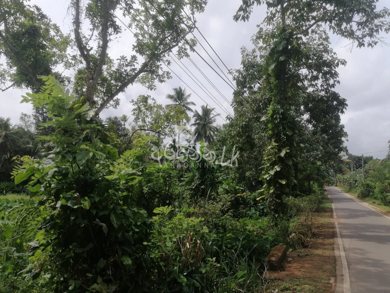Land for sale in Galle | Meepawala in Poddala | House, Land, Property ...