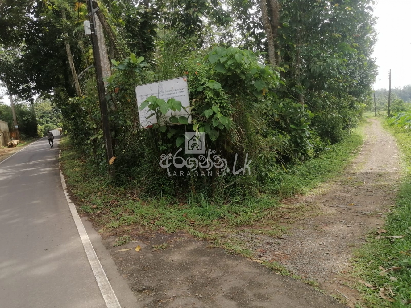 Land for sale in Galle | Meepawala in Poddala | House, Land, Property ...