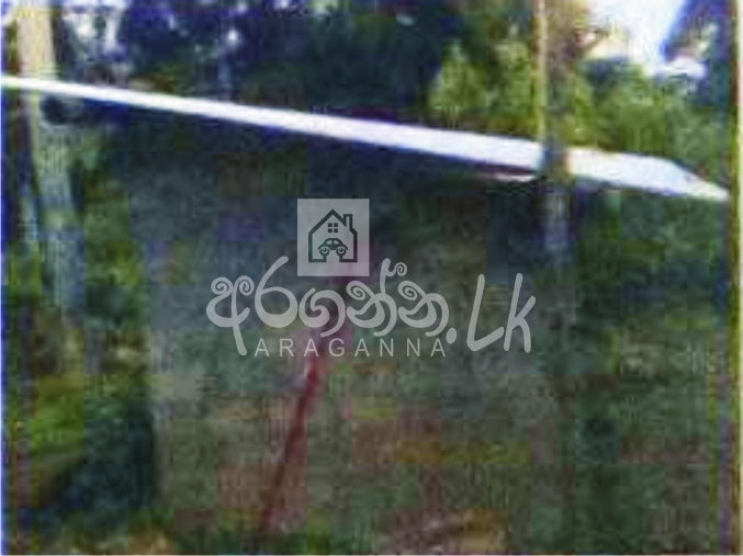 Land for sale in Galle | Kurunduwatta in Galle | House, Land, Property ...