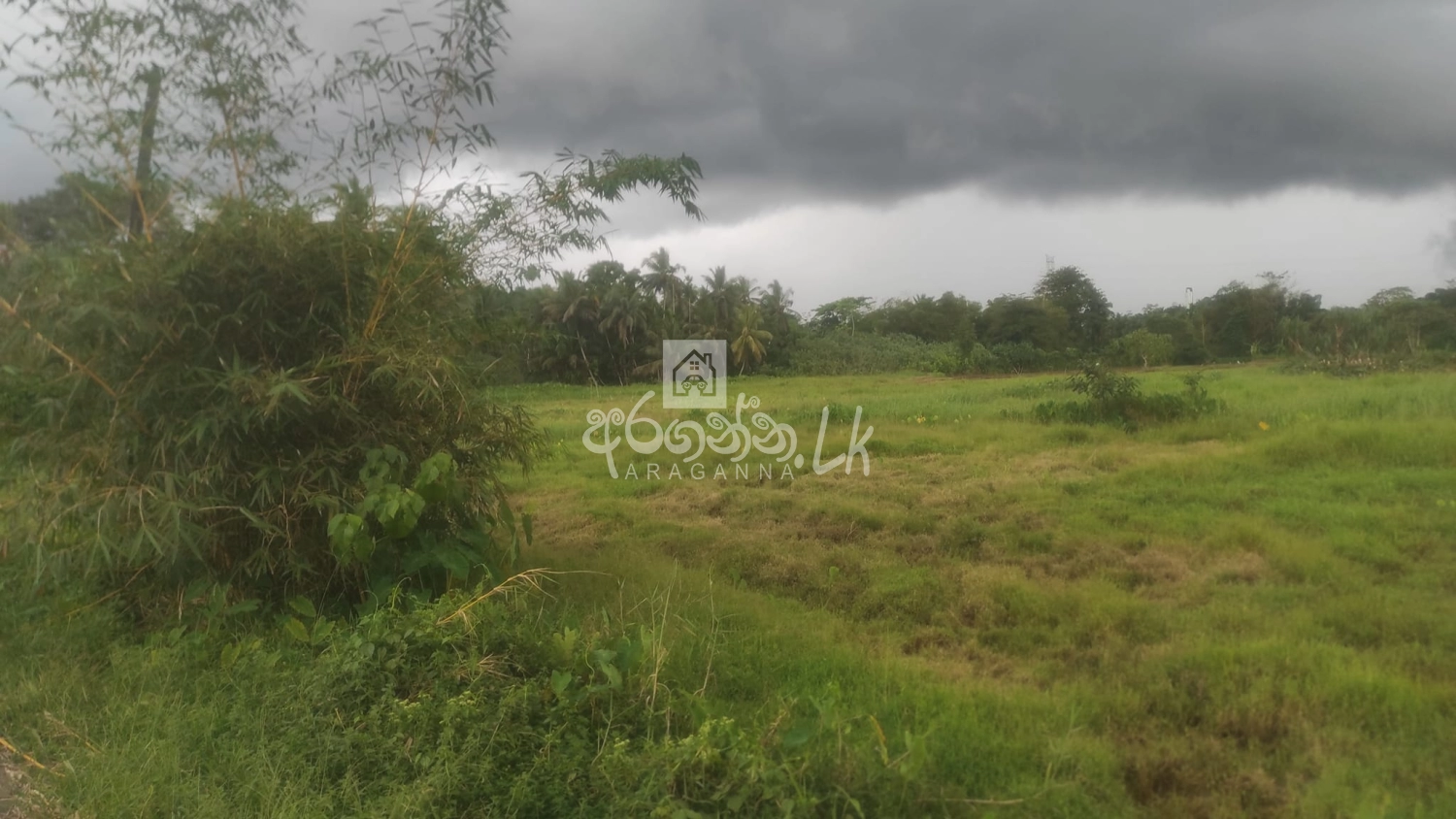 Land for Sale in Kalutara | Mathugama in Mathugama | House, Land ...