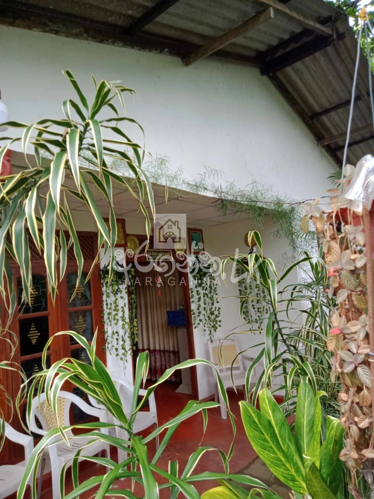 House for sale in Kalutara | Padukka in Kalutara | House, Land ...