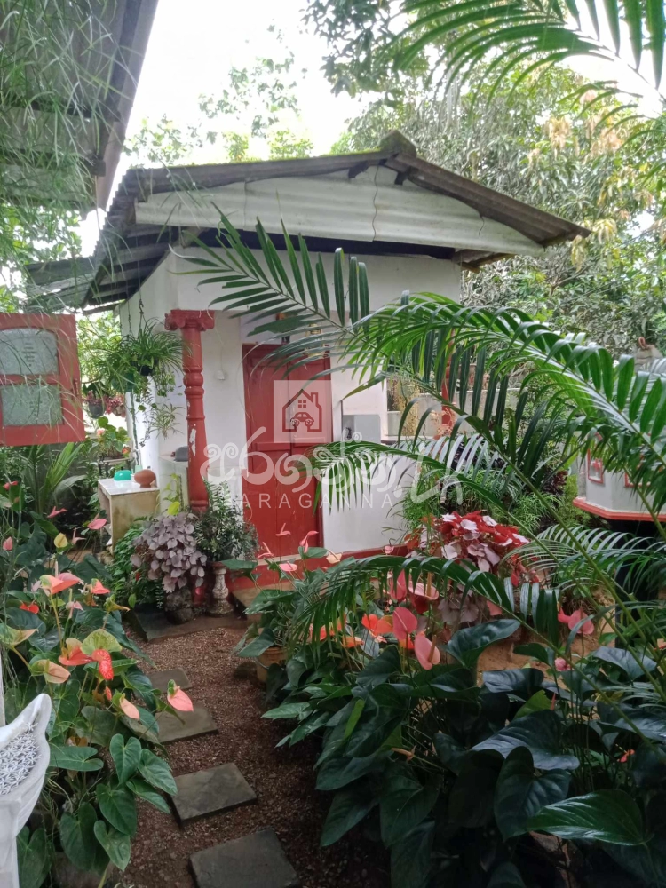 House for sale in Kalutara | Padukka in Kalutara | House, Land ...